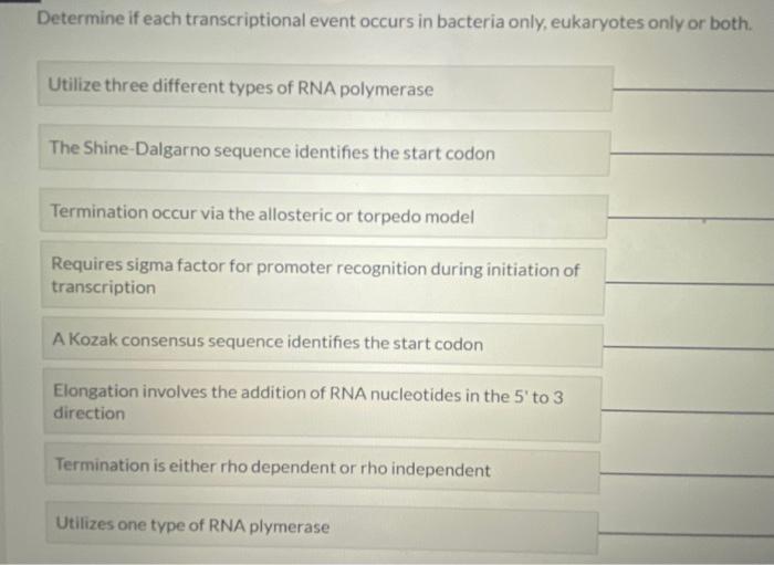 Solved Determine if each transcriptional event occurs in | Chegg.com