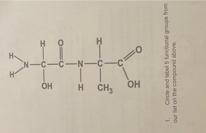 Solved ОН H CH3 НО H 0=U=)— N— 2— 3—N_ H 1. Circle and label | Chegg.com