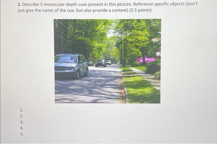 Solved 1 Describe 5 Monocular Depth Cues Present In This