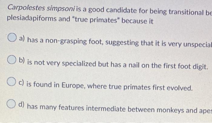 Solved Carpolestes simpsoni is a good candidate for being | Chegg.com