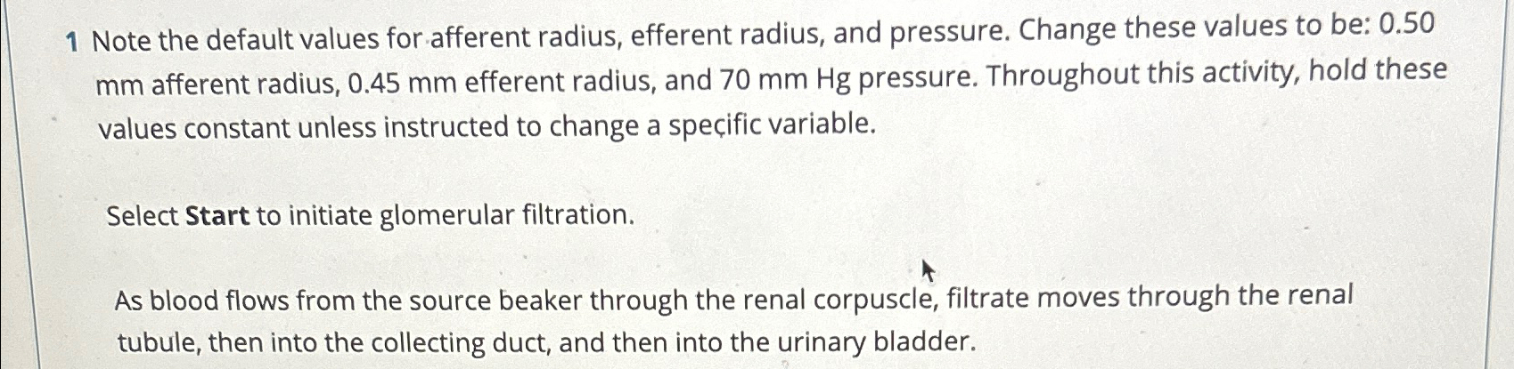 Solved 1 ﻿Note the default values for afferent radius, | Chegg.com