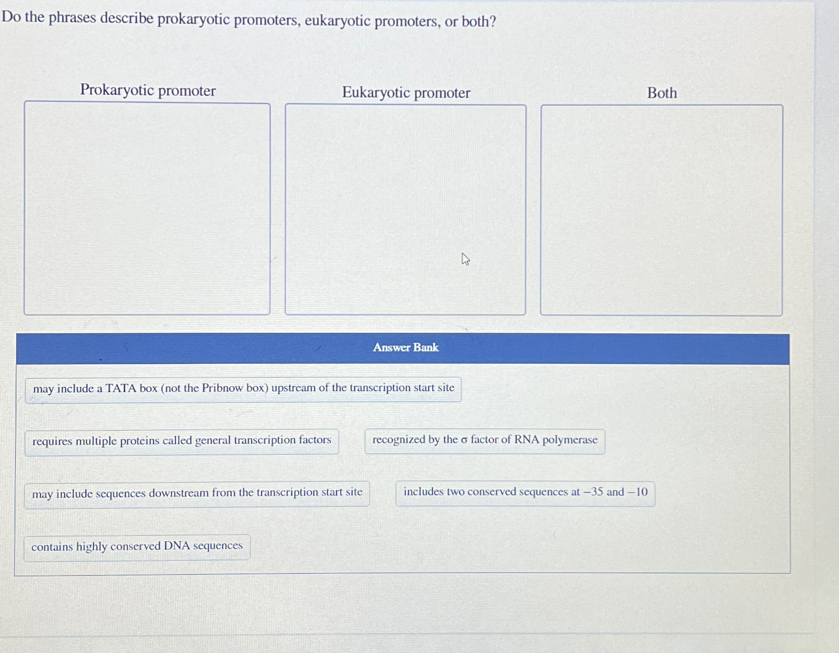 Solved Do the phrases describe prokaryotic promoters, | Chegg.com