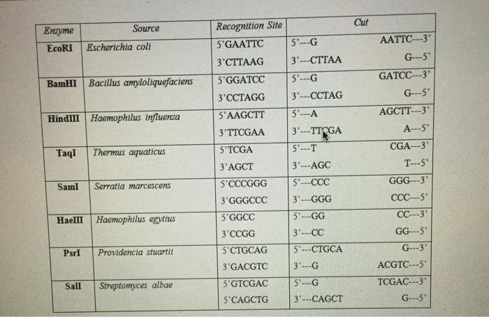 Solved Below is a table of restriction enzyme sites, showing | Chegg.com