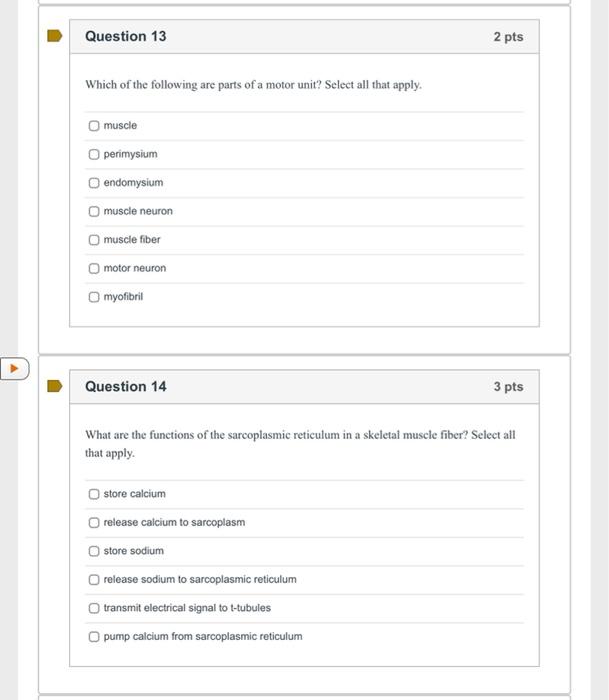 Solved List three muscles that can be involved in | Chegg.com
