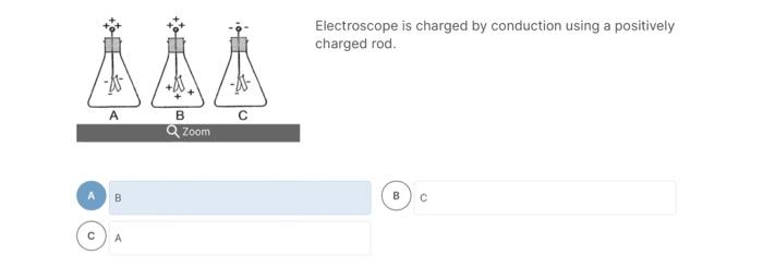 Solved Electroscope is charged by conduction using a | Chegg.com