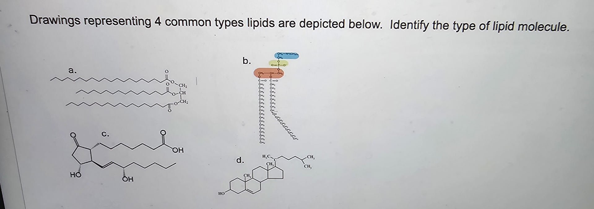Solved Drawings representing 4 ﻿common types lipids are | Chegg.com