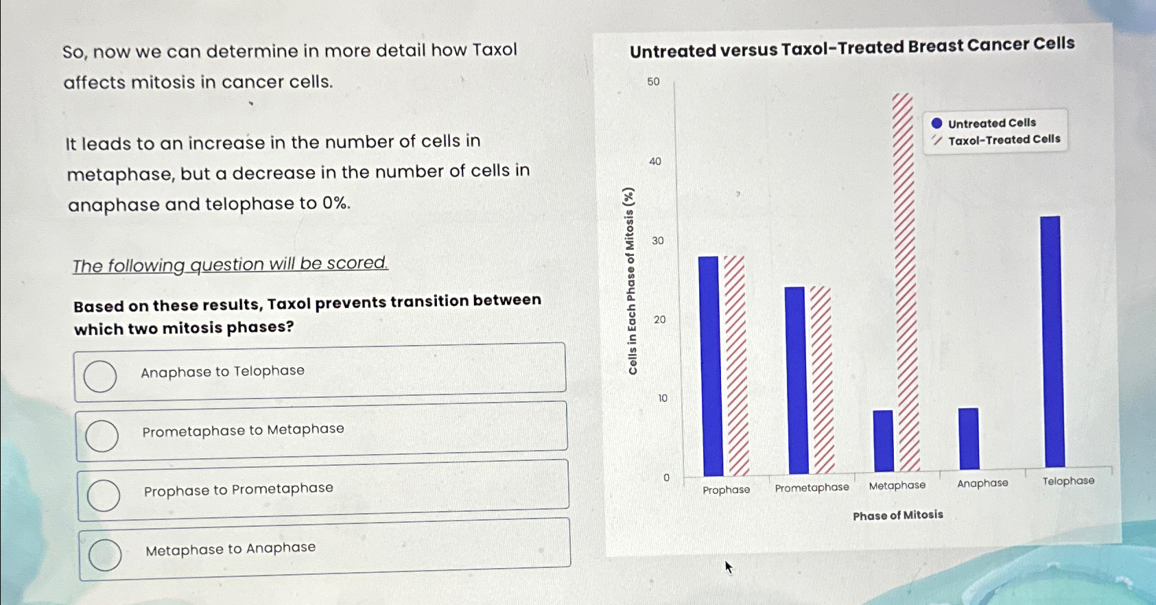 Solved So, ﻿now we can determine in more detail how Taxol | Chegg.com