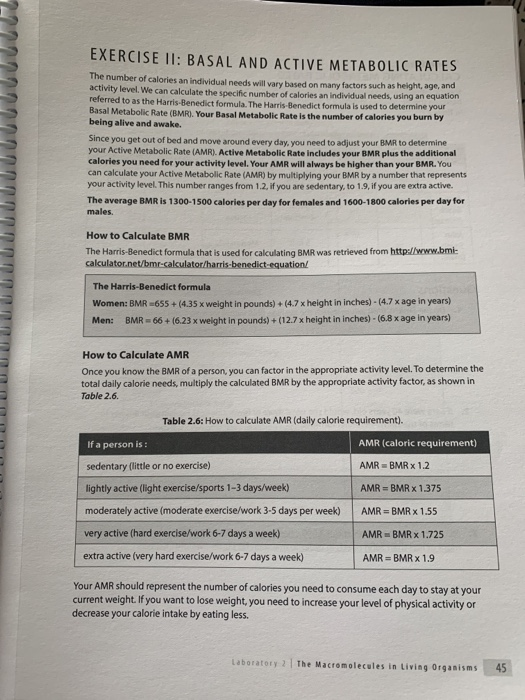 Solved EXERCISE II BASAL AND ACTIVE METABOLIC RATES The Chegg