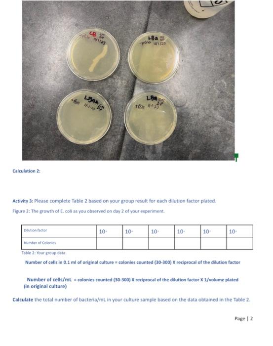 Solved Please fill out the table and answer questions based | Chegg.com