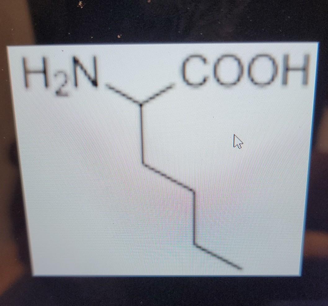 Solved Norleucine (Nle) is a commonly used amino acid | Chegg.com