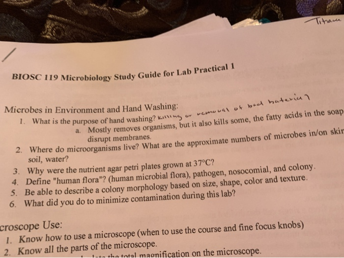 Solved Titan BIOSC 119 Microbiology Study Guide for Lab y | Chegg.com