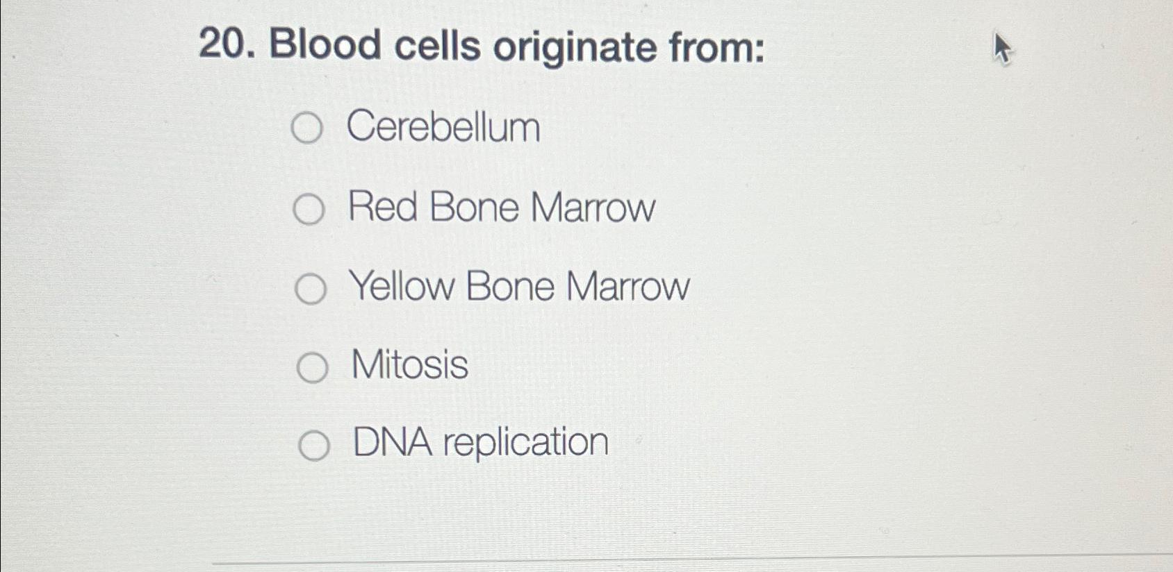 Solved Blood cells originate from:CerebellumRed Bone | Chegg.com