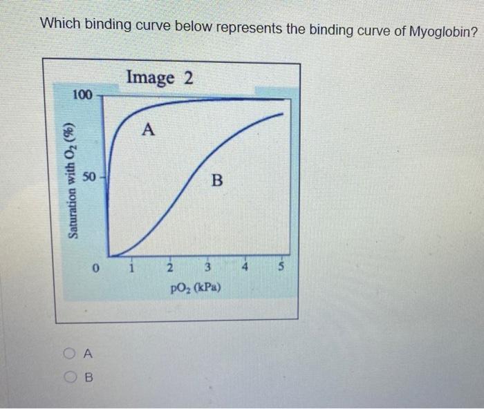 Solved Which binding curve below represents the binding | Chegg.com