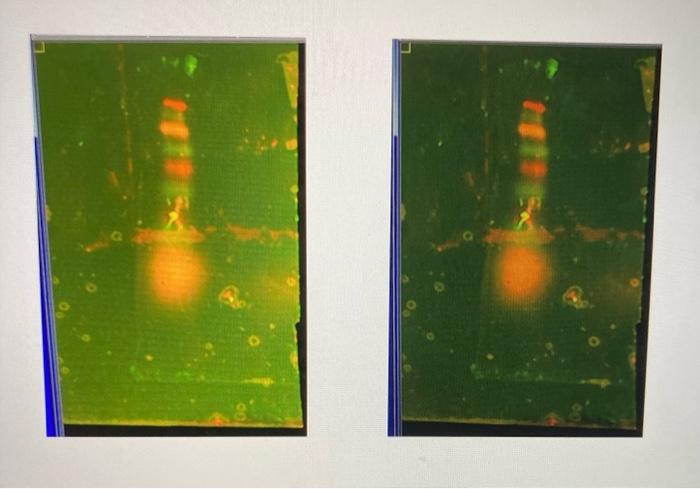 Solved 1) Summarize what experiment purpose, what we did \& | Chegg.com