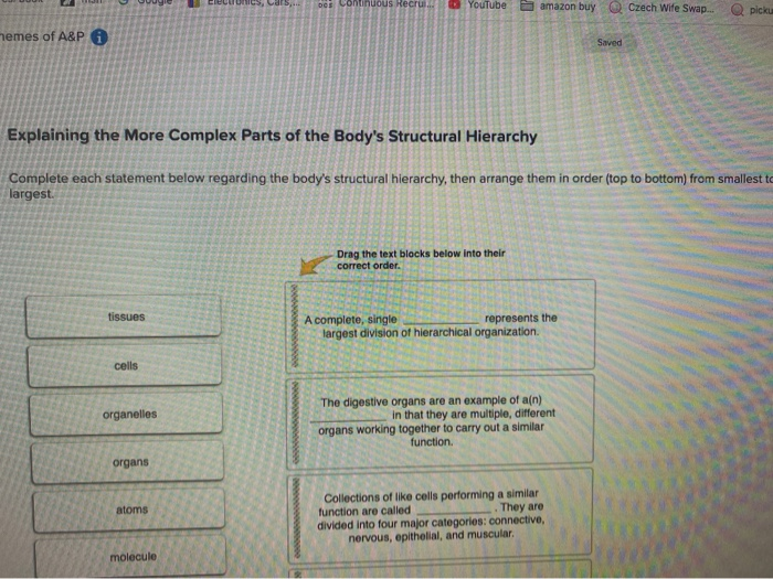 Solved Lars, DCs Continuous Recrui... YouTube amazon buy | Chegg.com