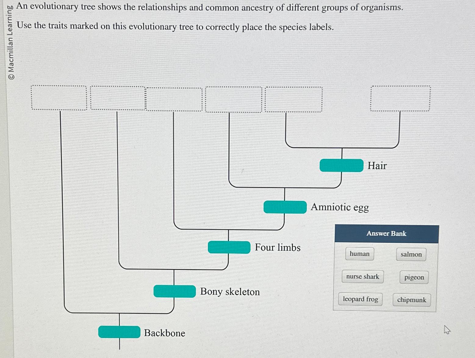 Solved ?c ﻿An evolutionary tree shows the relationships and | Chegg.com