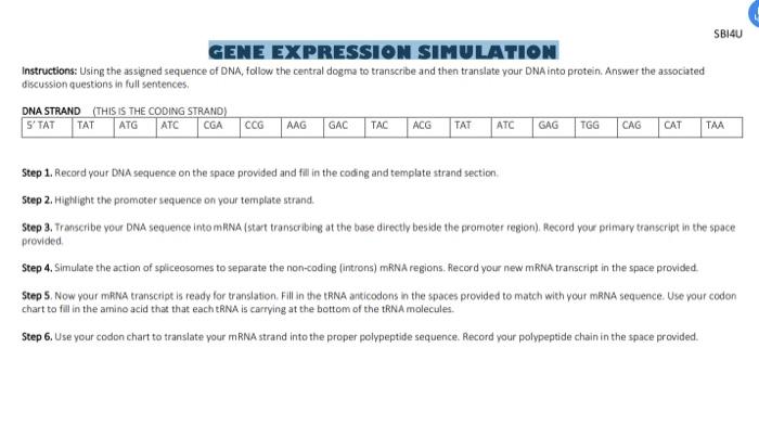 Solved Instructions: Using the assigned sequence of DNA, | Chegg.com