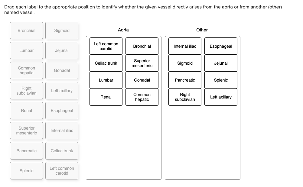 Solved Drag each label to the appropriate position to | Chegg.com