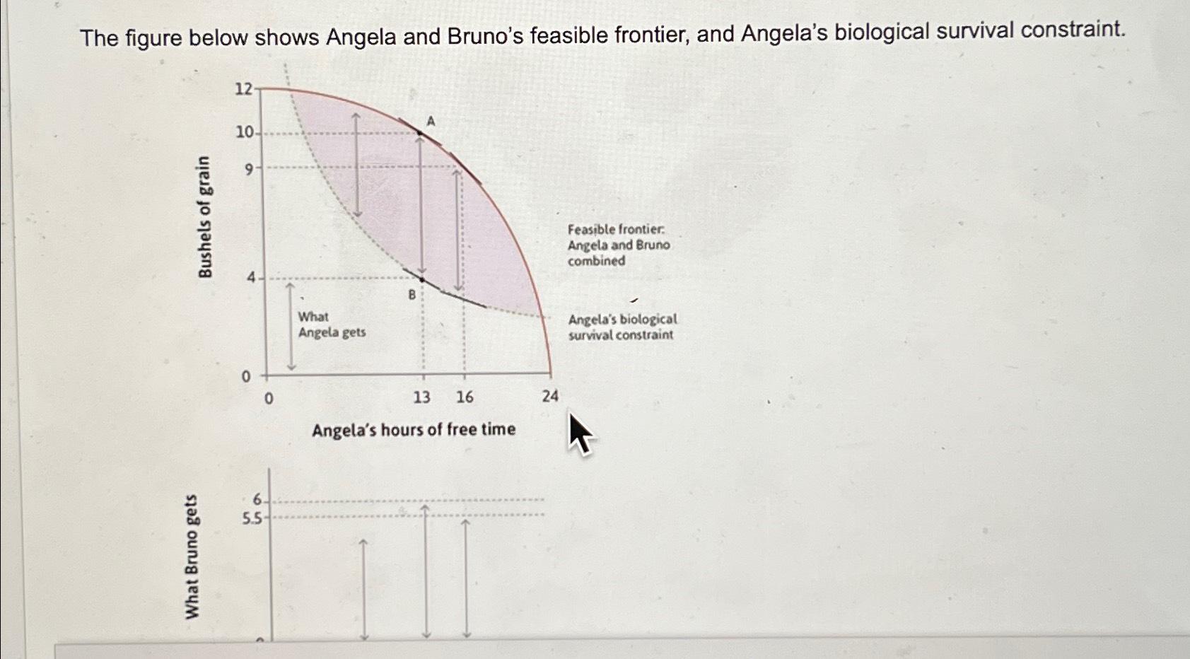 Solved The figure below shows Angela and Bruno's feasible | Chegg.com
