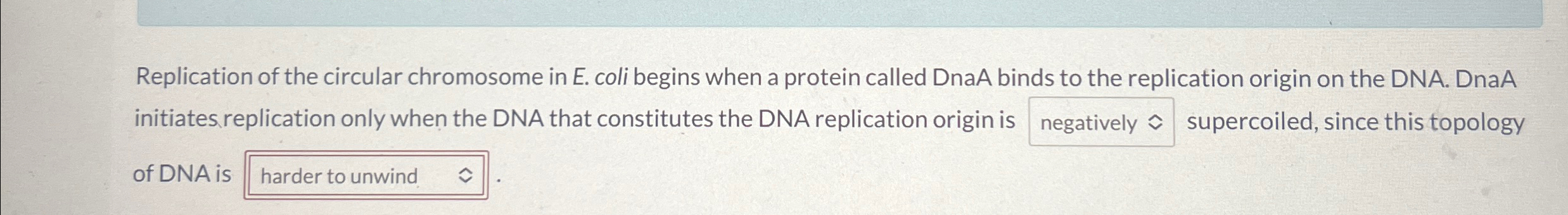 Solved Replication of the circular chromosome in E. ﻿coli | Chegg.com