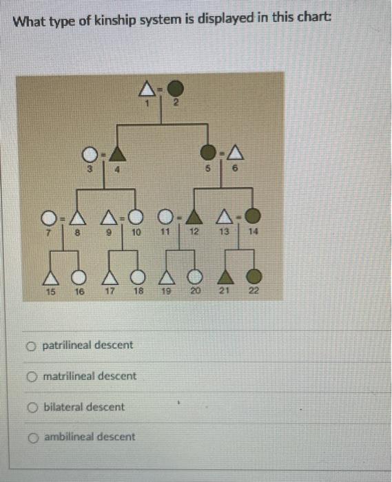 What type of kinship system is displayed in this | Chegg.com