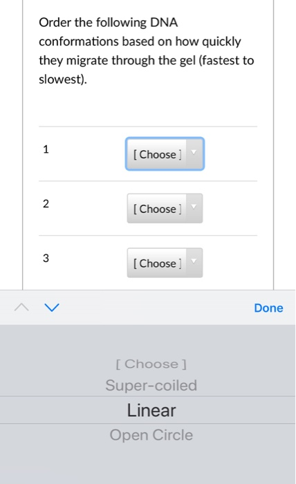 Solved Order the following DNA conformations based on how | Chegg.com