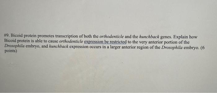 Solved \#9. Bicoid protein promotes transcription of both | Chegg.com