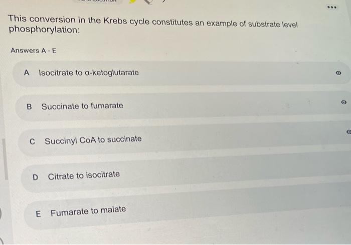 Solved An important difference between the Haber-Weiss (HW) | Chegg.com
