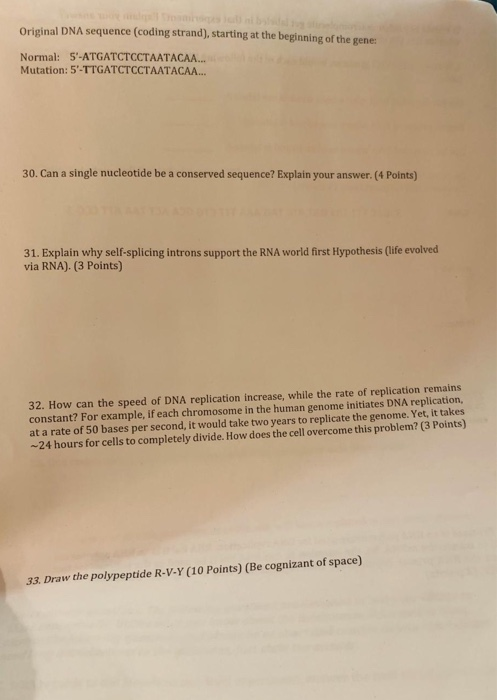 Solved Original DNA sequence (coding strand), starting at | Chegg.com