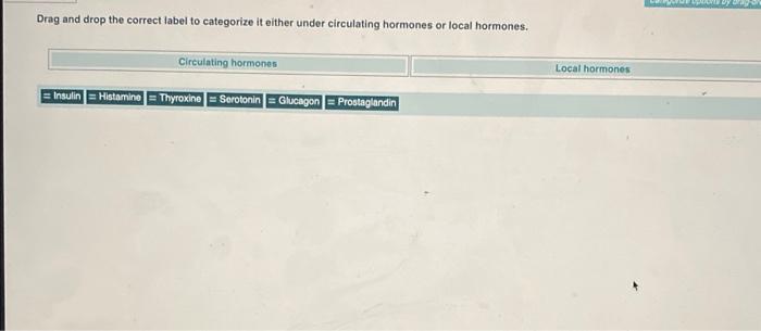 Solved Drag and drop the correct label to categorize it | Chegg.com