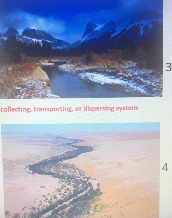 Solved 3 collecting, transporting, or dispersing system 4 | Chegg.com