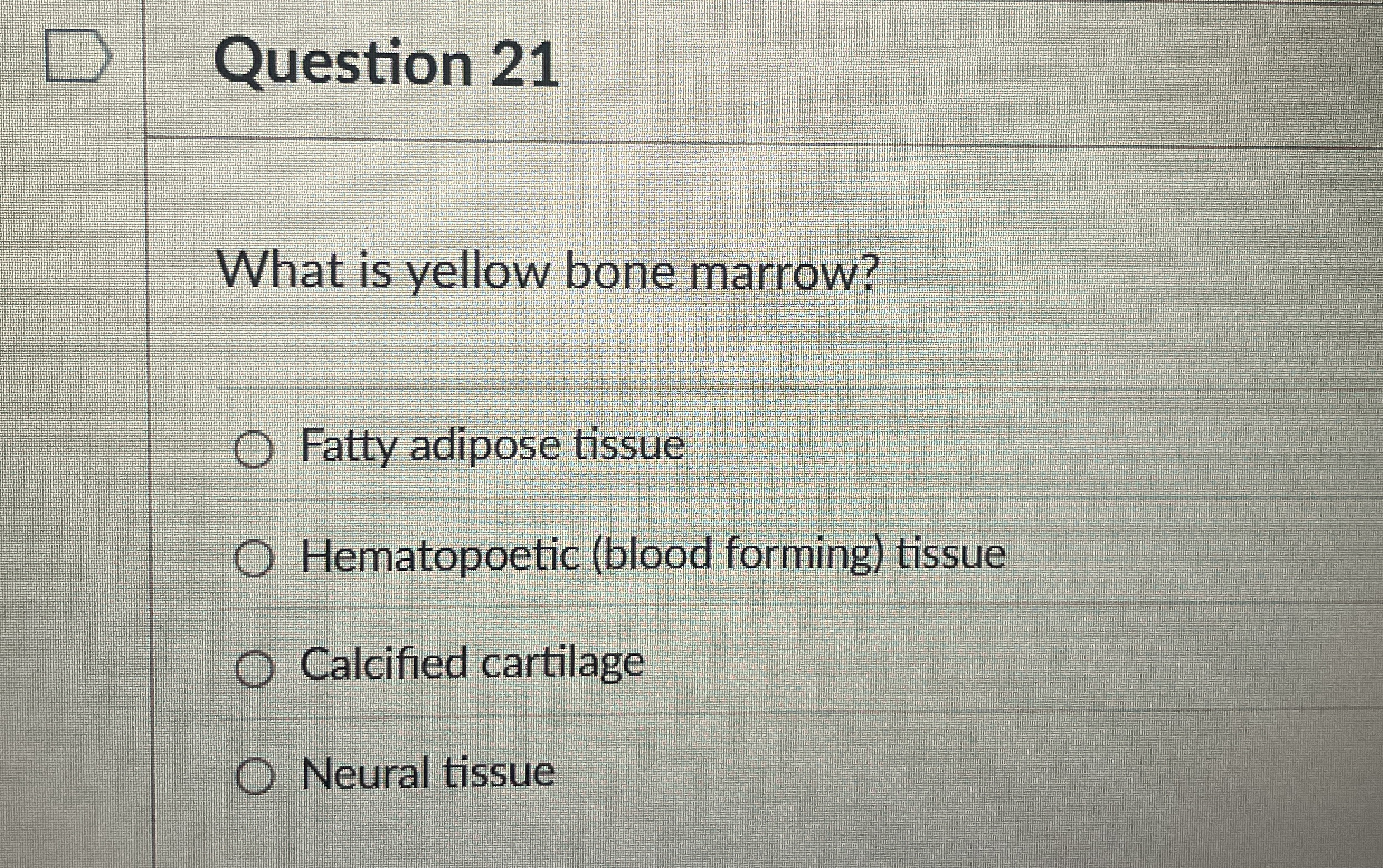 Solved Question 21What is yellow bone marrow?Fatty adipose | Chegg.com