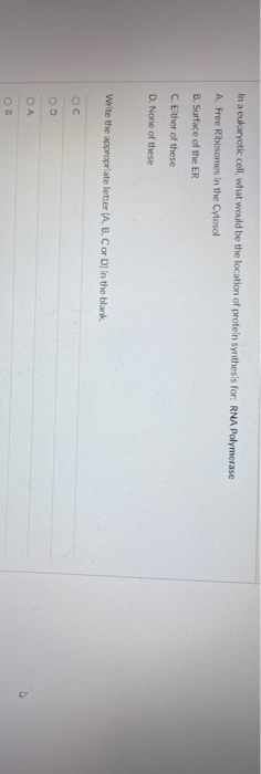 Solved In a eukaryotic cell, what would be the location of | Chegg.com