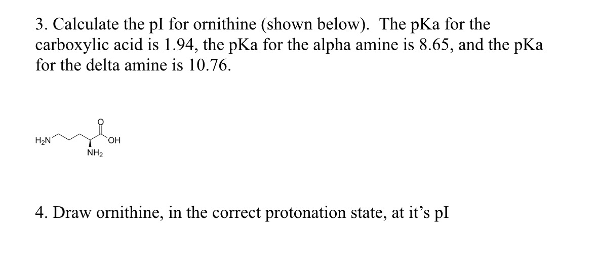 Solved Calculate the ?pI ﻿ for ornithine (shown below). ﻿The | Chegg.com