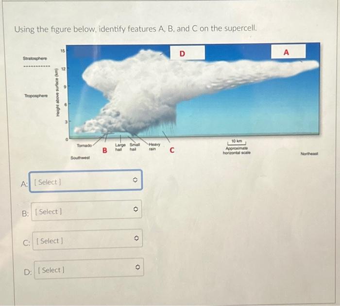 Solved Using the figure below, identify features A, B, and C | Chegg.com