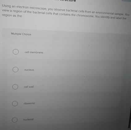 Solved Using an electron microscope, you observe bacterial | Chegg.com