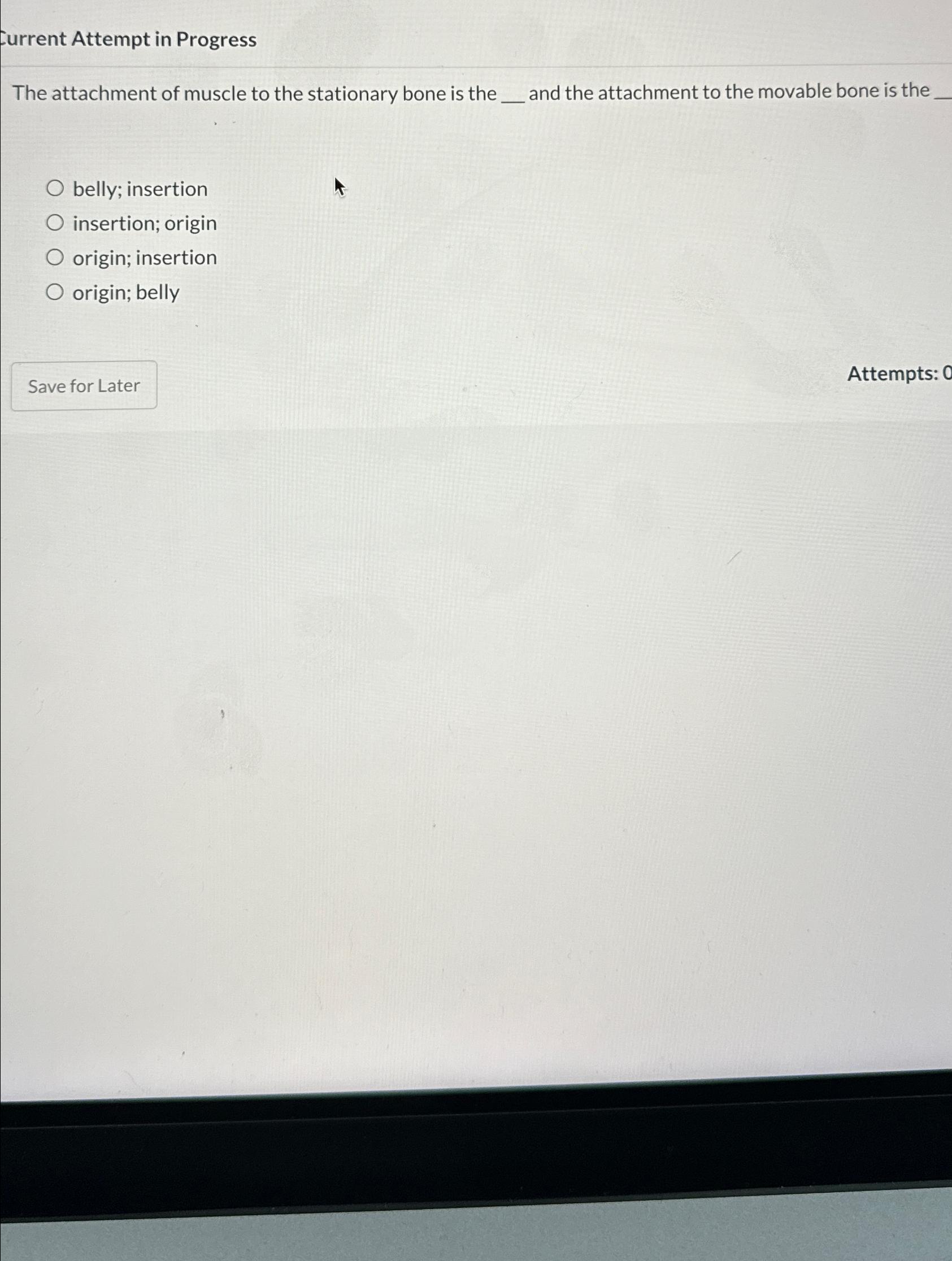 Solved Eurrent Attempt in ProgressThe attachment of muscle | Chegg.com