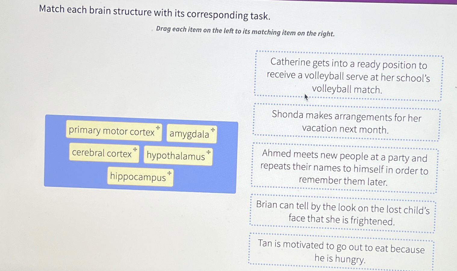 Solved Match each brain structure with its corresponding | Chegg.com