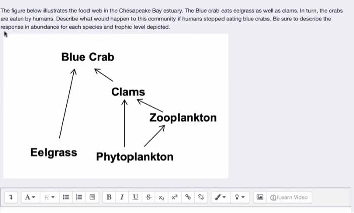 Solved The figure below illustrates the food web in the | Chegg.com