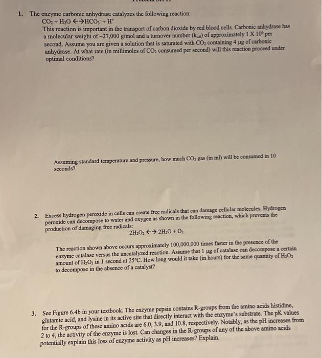 Solved 1. The enzyme carbonic anhydrase catalyzes the | Chegg.com