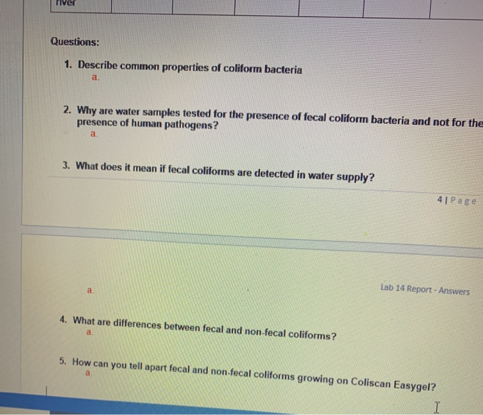 Solved hiver Questions: 1. Describe common properties of | Chegg.com