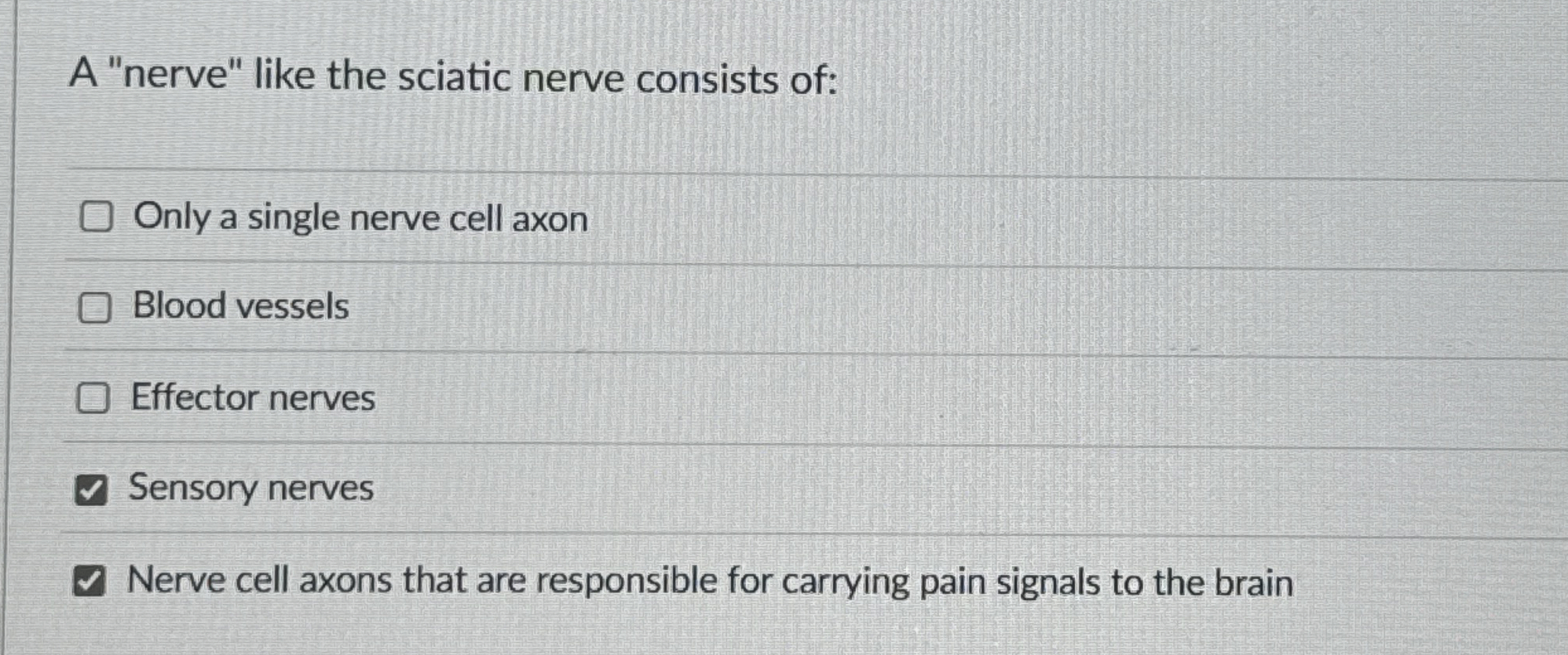 Solved A "nerve" like the sciatic nerve consists of:Only a | Chegg.com