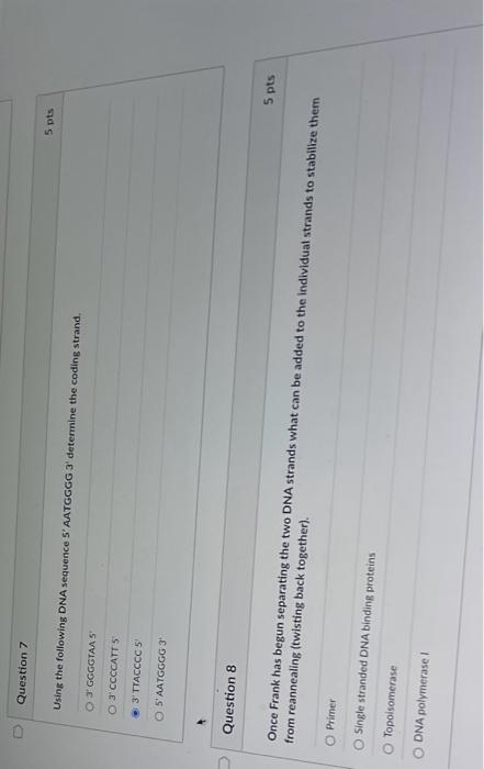 Question 7 5 pts Using the following DNA sequence 5′ | Chegg.com Question 7 5 pts Using the following DNA sequence 5′ | Chegg.com