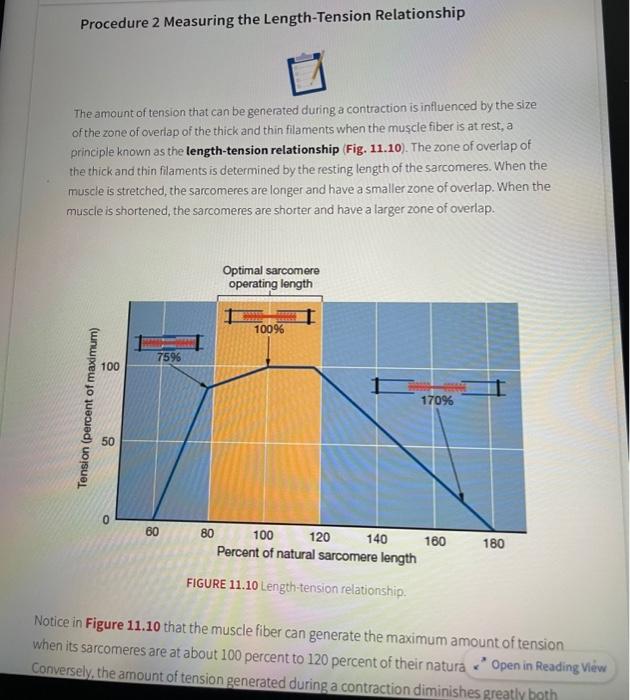Procedure 2 Measuring the Length-Tension Relationship | Chegg.com