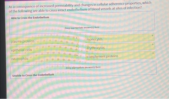 Solved As a consequence of increased permeability and | Chegg.com