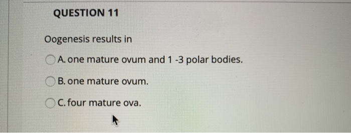 Solved QUESTION 11 Oogenesis results in O A. one mature ovum | Chegg.com