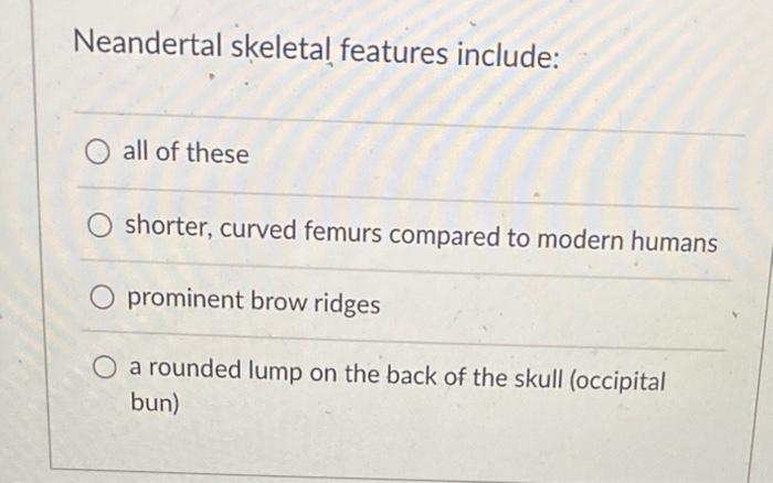 Neandertal skeletal features include: all of these | Chegg.com