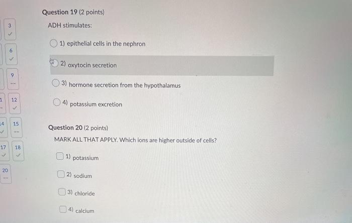Solved Question 19 (2 points) ADH stimulates: لم) 1) | Chegg.com