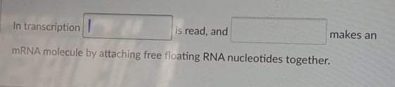 Solved In transcription is read, and makes an mRNA molecule | Chegg.com