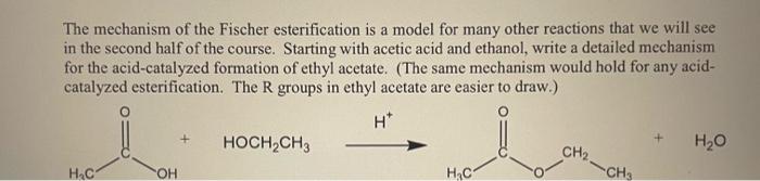 Solved The mechanism of the Fischer esterification is a | Chegg.com